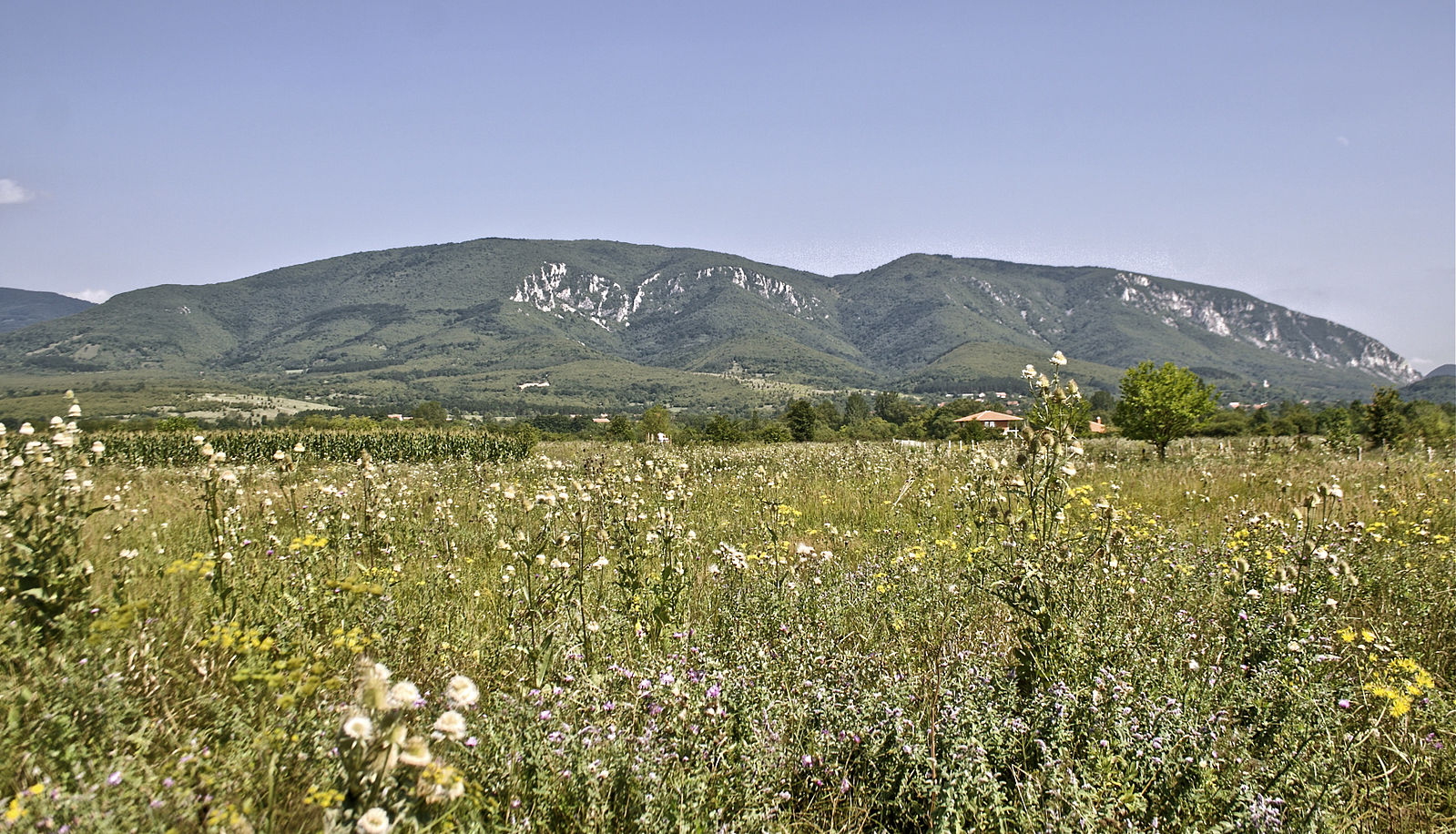 Homolje Mountain: An Unmissable Adventure Through Serbia's Wild Beauty ...