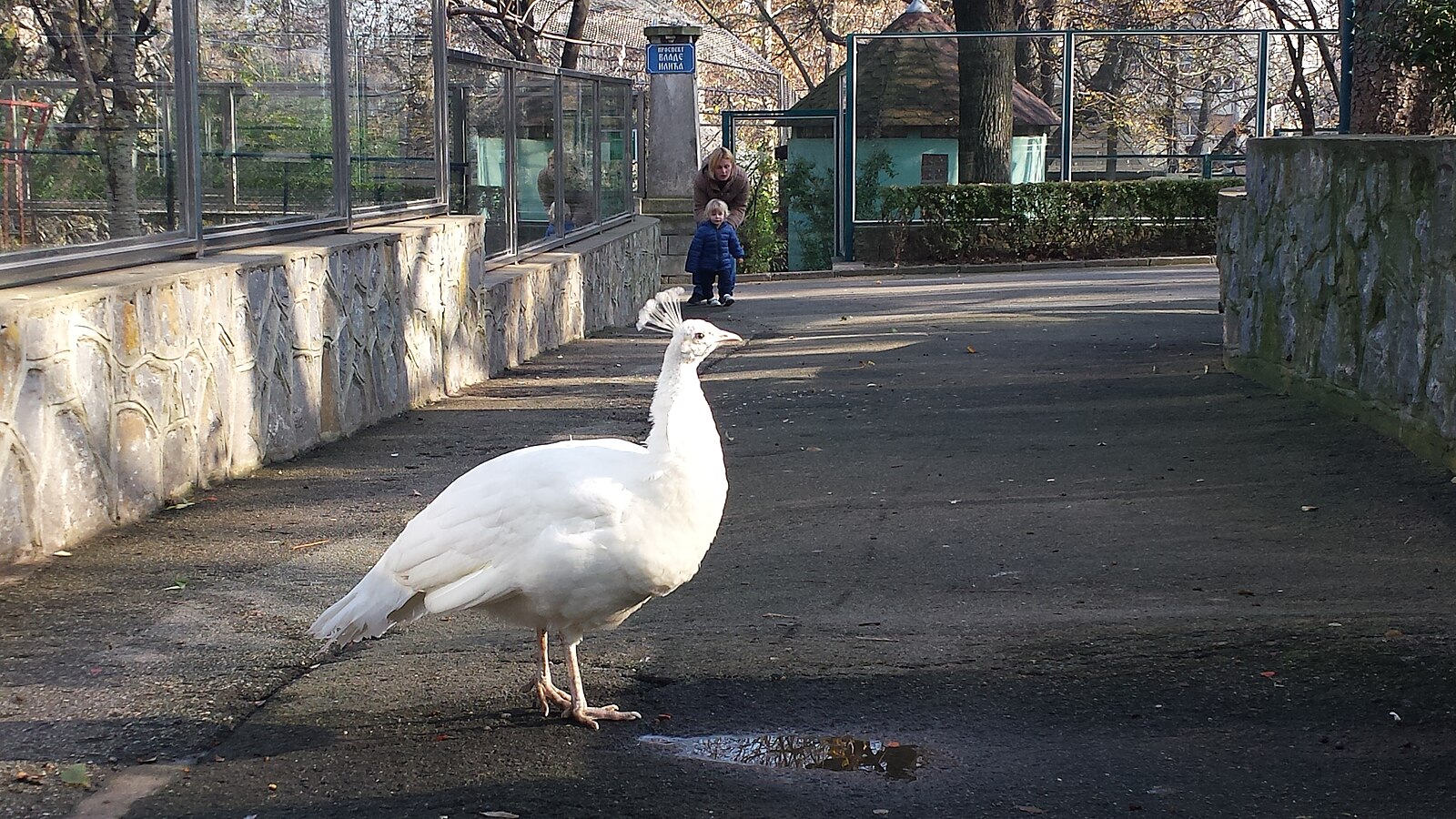 Exploring Belgrade Zoo: A Wildlife Oasis in Serbia’s Capital - Serbia.com