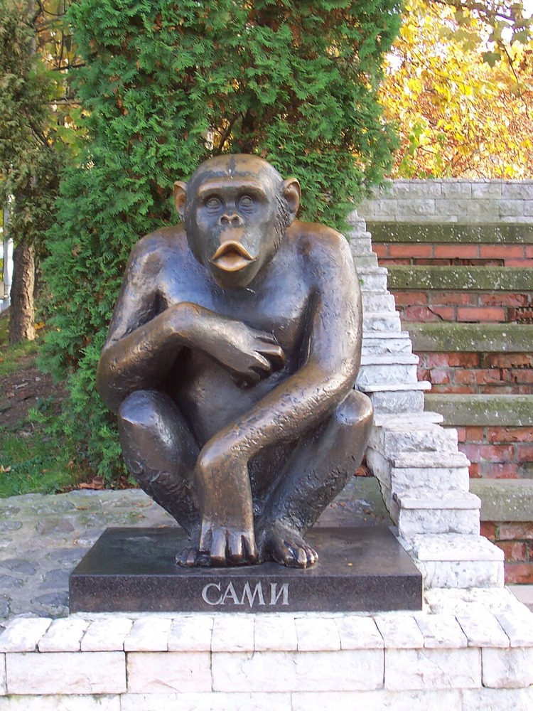 Exploring Belgrade Zoo: A Wildlife Oasis in Serbia’s Capital - Serbia.com