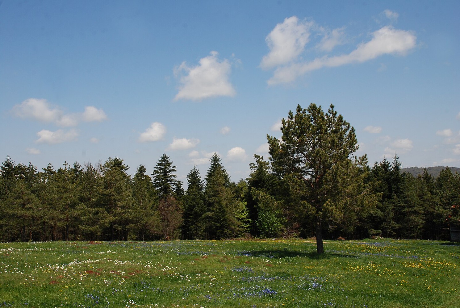 Kosjerić – Planinski biser između Maljena, Povlena i Divčibara - Serbia.com