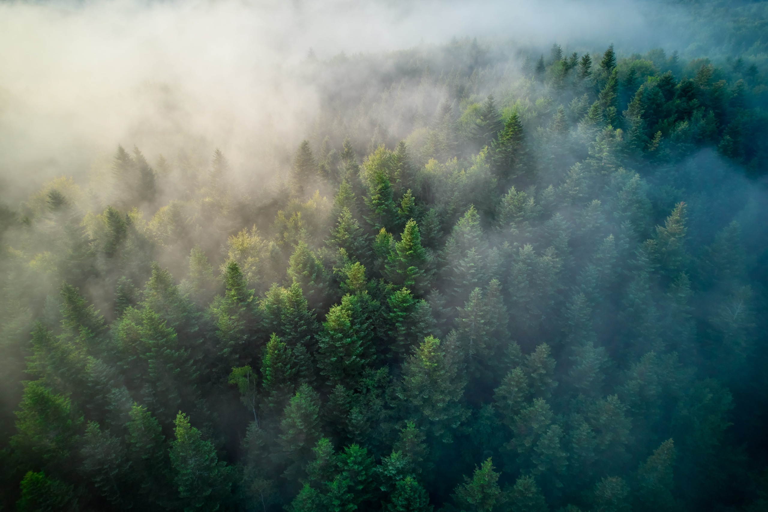 Top 5 misterioznih mesta koje treba posetiti u Srbiji - Serbia.com