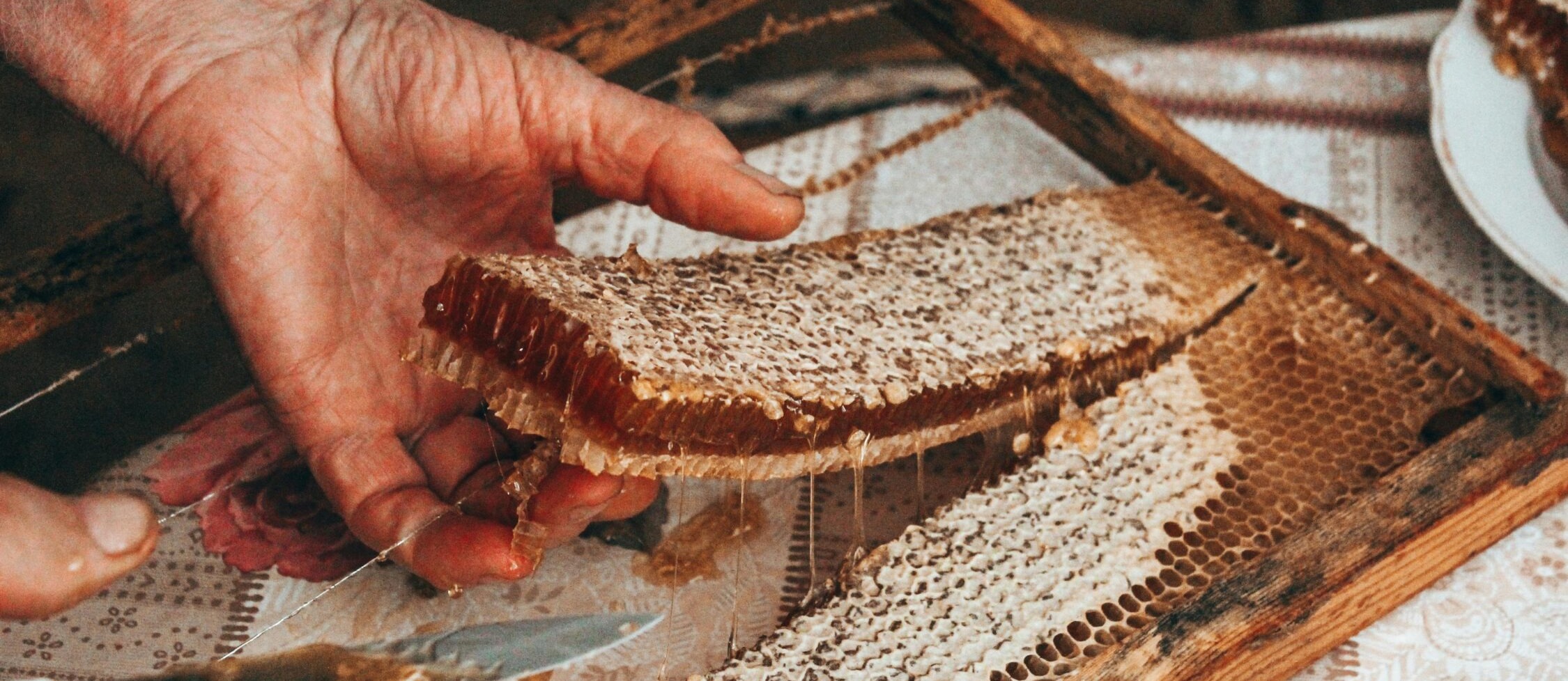 Homolje Honey - The Quiet Treasure of Eastern Serbia - Serbia.com
